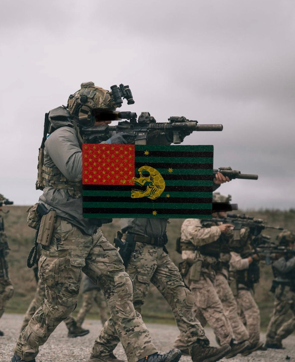 Christmas Stargazer Flag Patch *FORWARD* – Northern Provisions